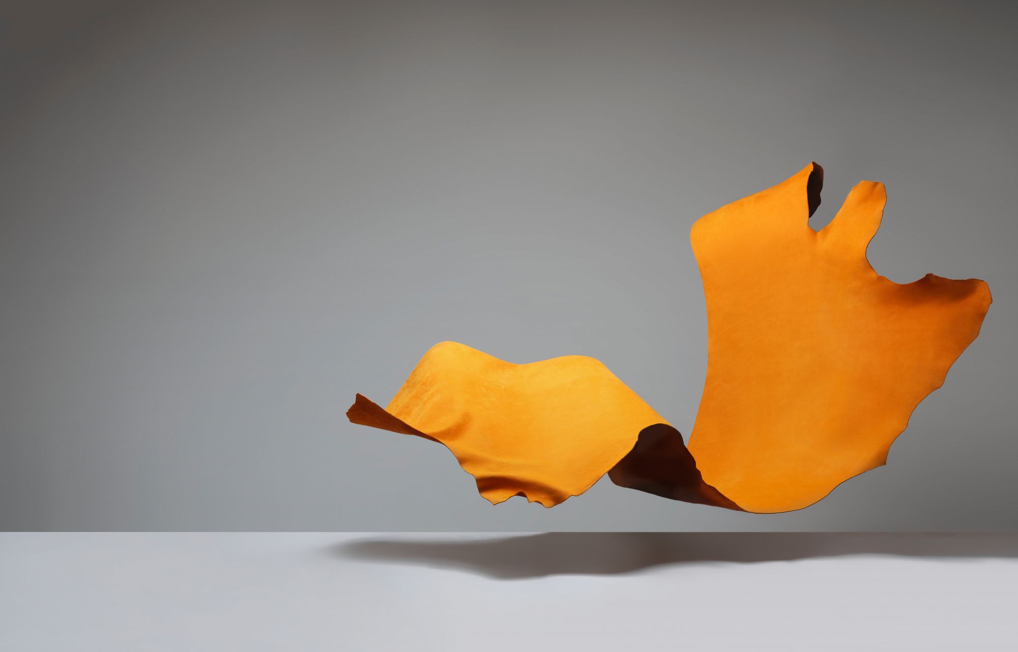 Bridge of Weir Leather